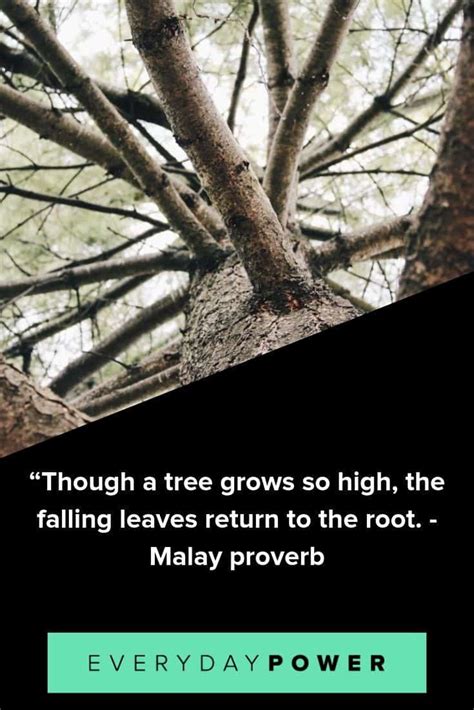 These Tree Quotes Will Make You Want To Plant Roots Daily Inspirational Posters
