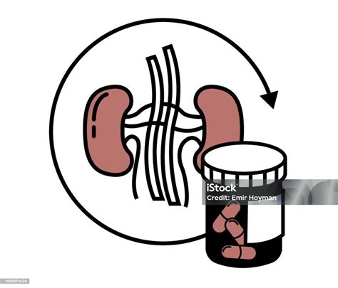 건강 개념입니다 비뇨기과 및 비뇨기과 및 신장학 신장 건강 웹 배너 브로셔 표지 디자인 및 템플릿을 위한 벡터 그림 개념에 대한 스톡 벡터 아트 및 기타 이미지 Istock