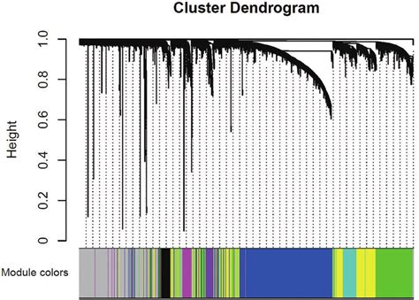 Gene Cluster Tree The Upper Part Of The Figure Is A Diagram Of The Download Scientific Diagram