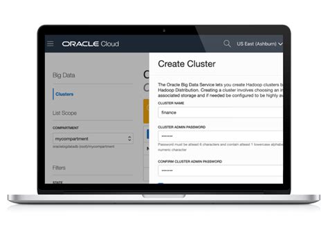 Big Data Service Oracle