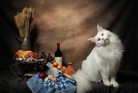 Still Life Photography A Guide To Capturing Beautiful Inanimate Objects