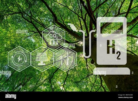 Green Hydrogen Energy Wind Turbine And Solar Panel Powering Hydrogen