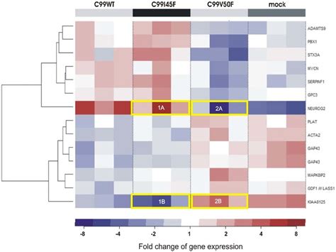 Hierarchical Clustering Of Transcripts According To Their Expression