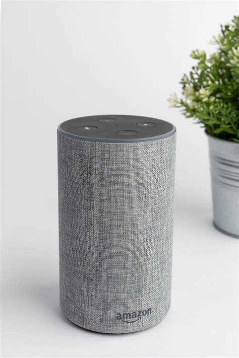 What Search Engine Does Alexa Use By Experts Medium