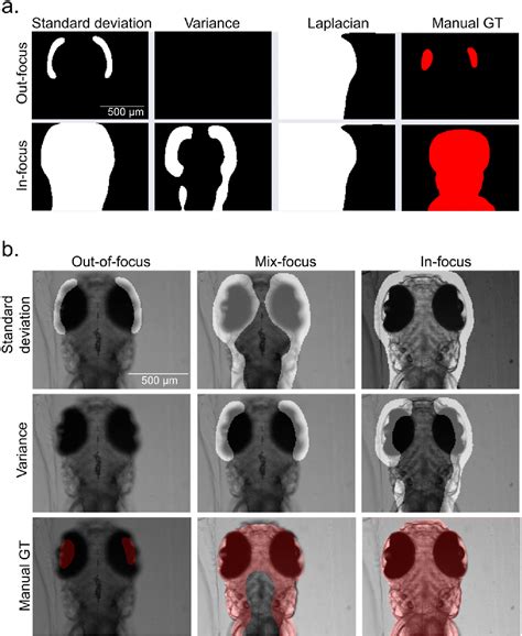 Figure 3 From A Weak Labelling And Deep Learning Approach For In Focus