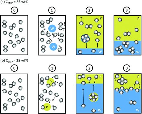 Schematic Representation Of The Partitioning Of Silica Nickel Janus