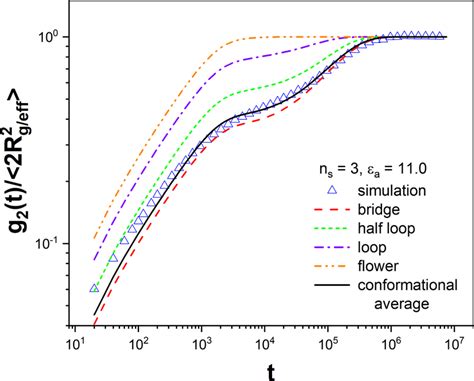 Segmental Diffusion Function G 2 T 2r 2 Geff D E Of Different Chain