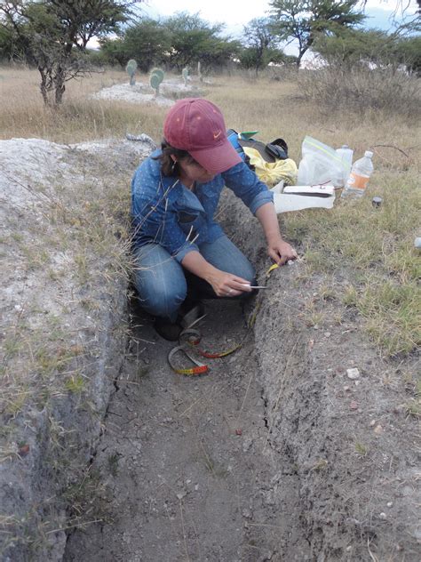 ¿por Qué Nos Hemos Olvidado De Los Suelos Entrevista A Helena Cotler
