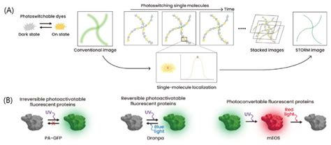 Localization Microscopy Machine Learning At Alex Cruz Blog