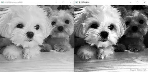 图像增强 直方图均衡化 Csdn博客