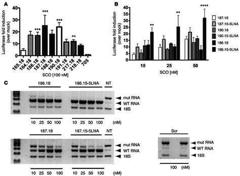 Splice Correctioninduced Upregulation Of Reporter Minigene Activity
