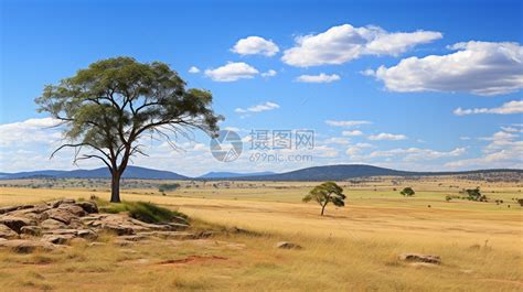 辽阔的非洲草原高清图片下载 正版图片600342374 摄图网