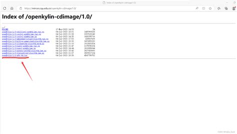 在vmware上安装配置openkylin操作系统详细教程（图文教程） vmware安装openkylin csdn博客
