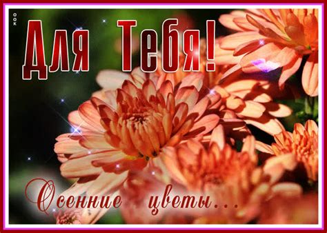 Гармоничная гиф открытка Для тебя осенние цветы Скачать бесплатно на