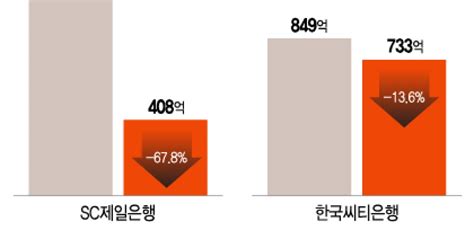 일회성 비용 때문에외국계 Sc제일·씨티은행 순익 동반 하락