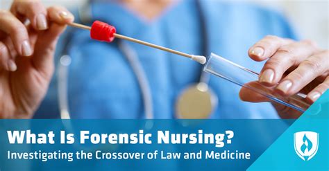 what is forensic nursing investigating the crossover of law and medicine rasmussen university