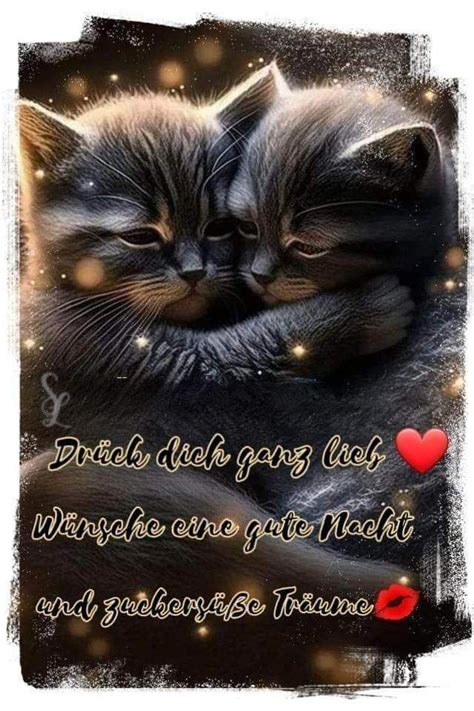 Pin By Diana On Gute Nacht Cute Good Morning Funny Pictures Good