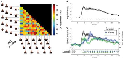 Meg Decoding And Social Communicativeness A Decodability Of