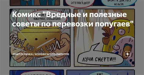 Комикс Вредные и полезные советы по перевозки попугаев Комиксы про попугаев Оли Зайцевой Дзен