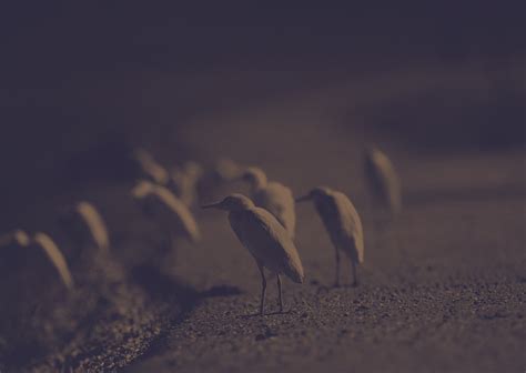 High Performance Sql With Postgres Data Egret