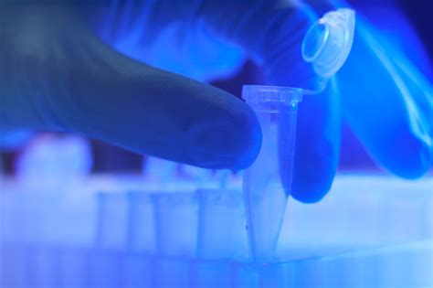 실험실에서 여러 테스트 튜브 중 하나를 손으로 들고 있습니다 Dna에 대한 스톡 사진 및 기타 이미지 Dna Stem 주제 건강관리와 의술 Istock