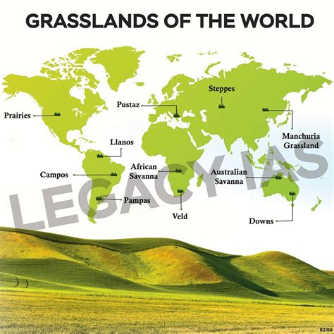 Grasslands Of The World Legacy Ias Academy