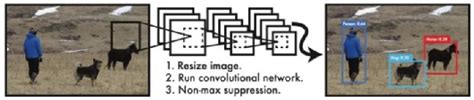 Figure 1 From An Algorithm For Obstacle Detection Based On Yolo And