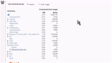 How To Use The Disk Space Usage Tool In Cpanel Cpanel Web Hosting Disk