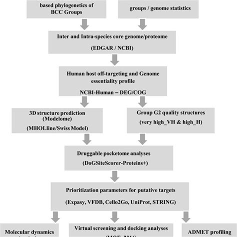 workflow of bioinformatics computational steps for putative essential