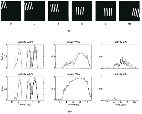 Temporal Dynamics Of Va S Visual Neuronal Responses Before And After