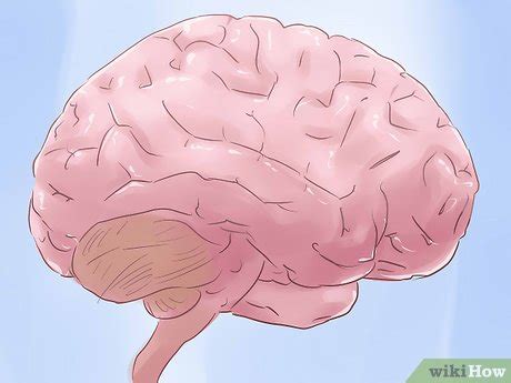 How To Understand Love As A Chemical Reaction Steps