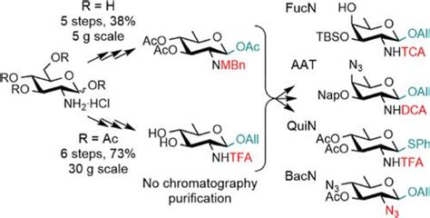 从 D 葡萄糖胺大规模合成多功能稀有脱氧氨基糖结构单元 The Journal Of Organic Chemistry X Mol