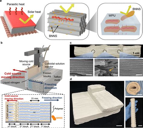 Design And Additive Freeze Casting Of Decimeter Scale Anisotropic Download Scientific Diagram