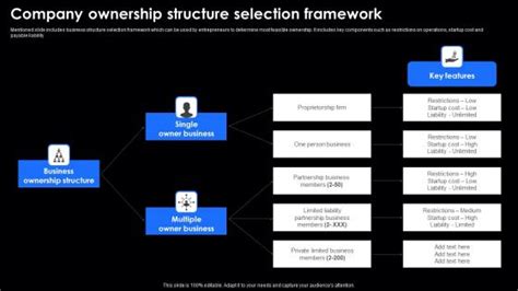 Company Ownership Structure Selection Framework Sample Pdf