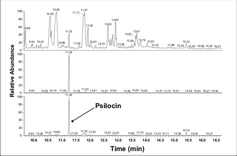Selected Ion Monitoring Chromatogram Of Psilocin In Patient Urine At Download Scientific