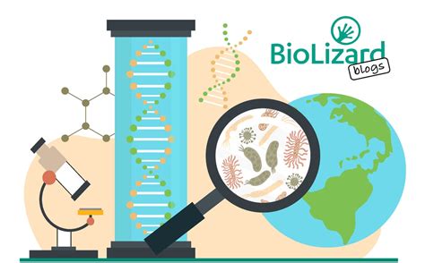 Microbiome Analysis Correlation Is Not Causation