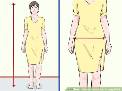 how to measure your waist to height ratio 13 steps
