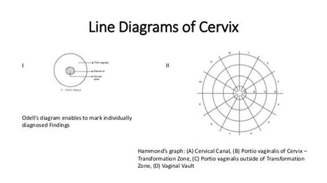 An Introduction To Colposcopy Grothuesmann