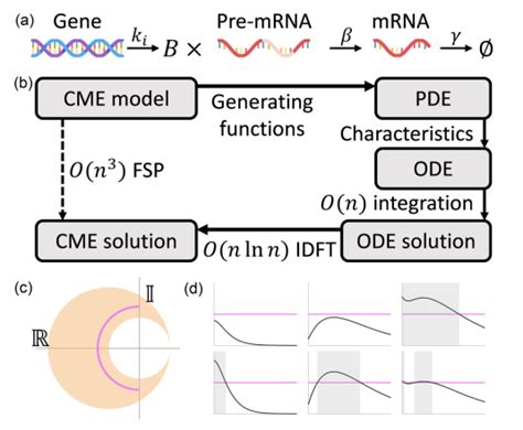 Parameter Inference — Pachter Lab Biophysics 01 Documentation