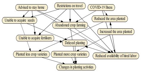 Influence Diagram Depicting The Causal Effect Relationships Among Key