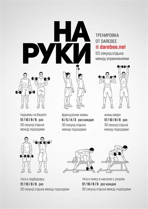 Тренировка рук Тренировка рук Бицепс Тренировки