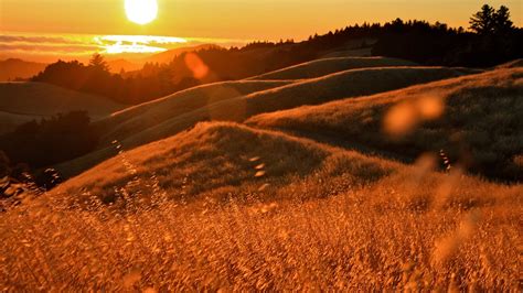Sunlight Landscape Sunset Hill Nature Grass Sky Field Sunrise