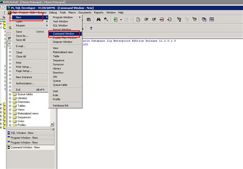 Rms Tes Erro Ora 06512 Not Enough Values Central De Atendimento Totvs