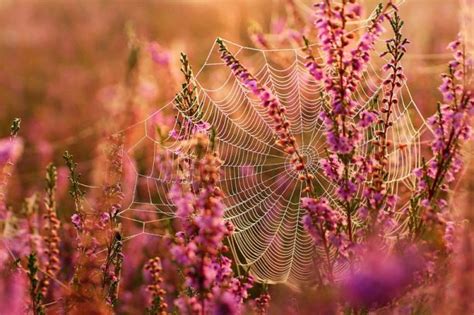 Mastering Aws Elastic Beanstalk Your Path To Rapid Web Application Deployment Kmf Blogs