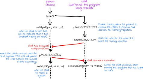 cs 110 principles of computer systems