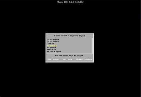 Installing VMWare ESXi X On Bare Metal