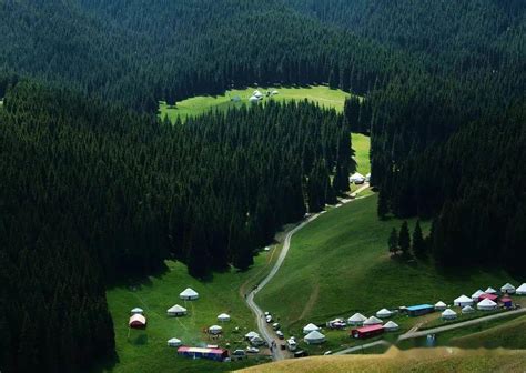 乌鲁木齐南山牧场旅游收费景区攻略白杨沟