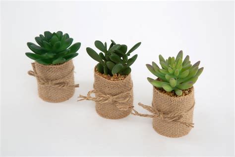 Купить Набор искусственных растений в горшке Суккулент по выгодной цене в интернет магазине Ozon