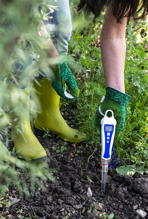 PH Meter Tester In Soil Measure Soil With Digital Device Stock Image Image Of Alkaline