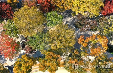 단풍 드는 섬진강기차마을 연합뉴스